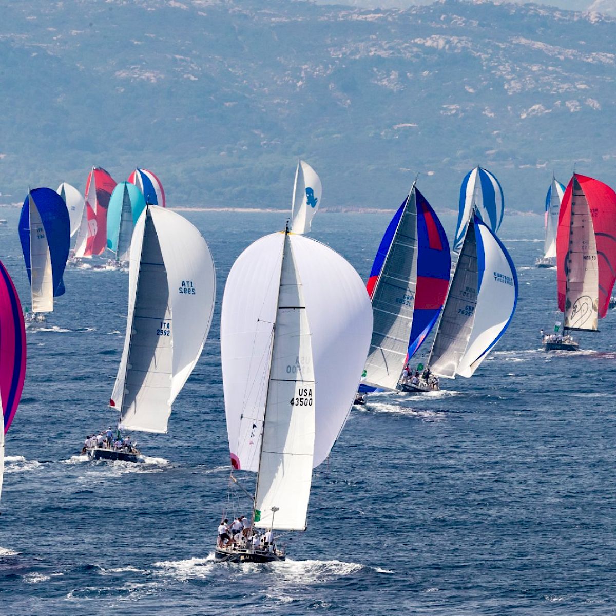 Galleries | Swan Classic by Frers